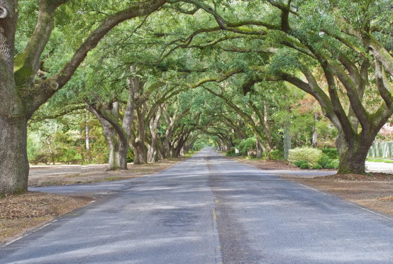 15 Best Day Trips from Columbia SC - The Crazy Tourist