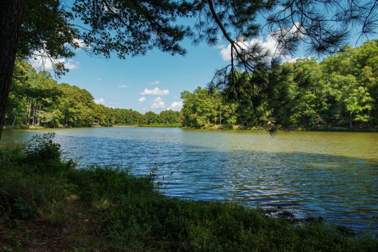 15 Best Lakes in Raleigh - The Crazy Tourist