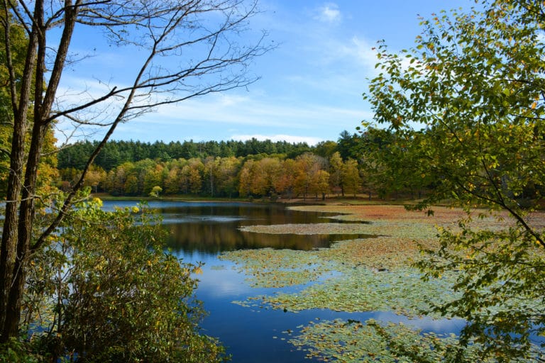 15 Best Lakes in Raleigh - The Crazy Tourist