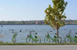 15 Best Lakes in Dallas - The Crazy Tourist