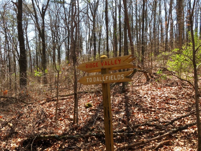 15 Best Things to Do in Center Point (AL) - The Crazy Tourist