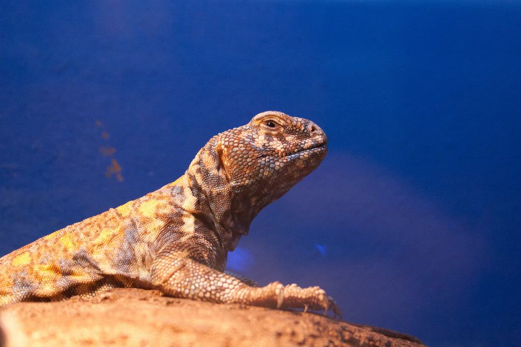 15 Best Things to Do in Crete (Greece) - The Crazy Tourist