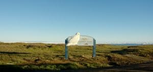 15 Best Things to Do in Utqiaġvik (Alaska) - The Crazy Tourist