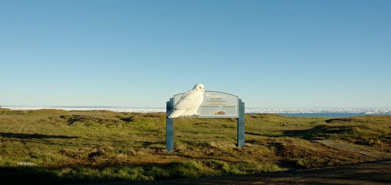 15 Best Things to Do in Utqiaġvik (Alaska) - The Crazy Tourist