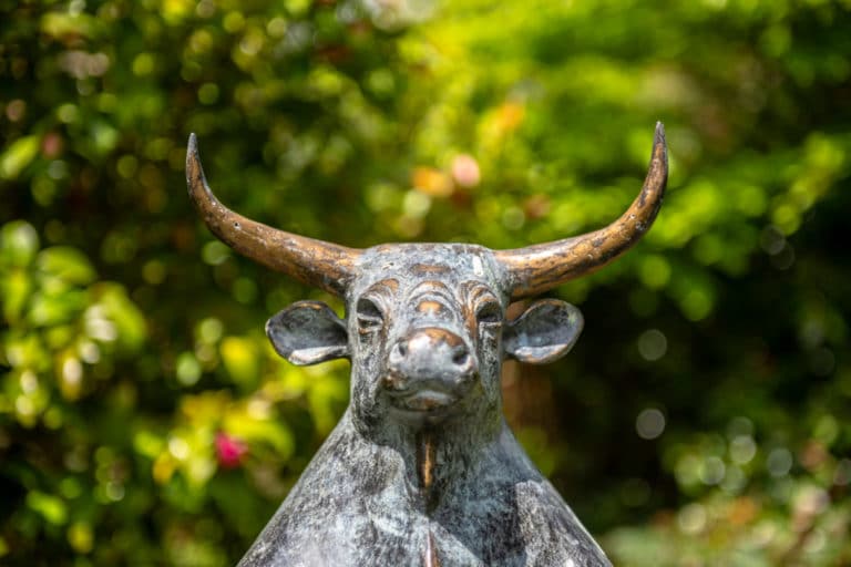 15 Best Things to Do in Barnstaple (Devon, England) - The Crazy Tourist