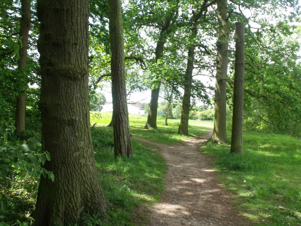 15 Best Things to Do in Solihull (Warwickshire, England) - The Crazy ...