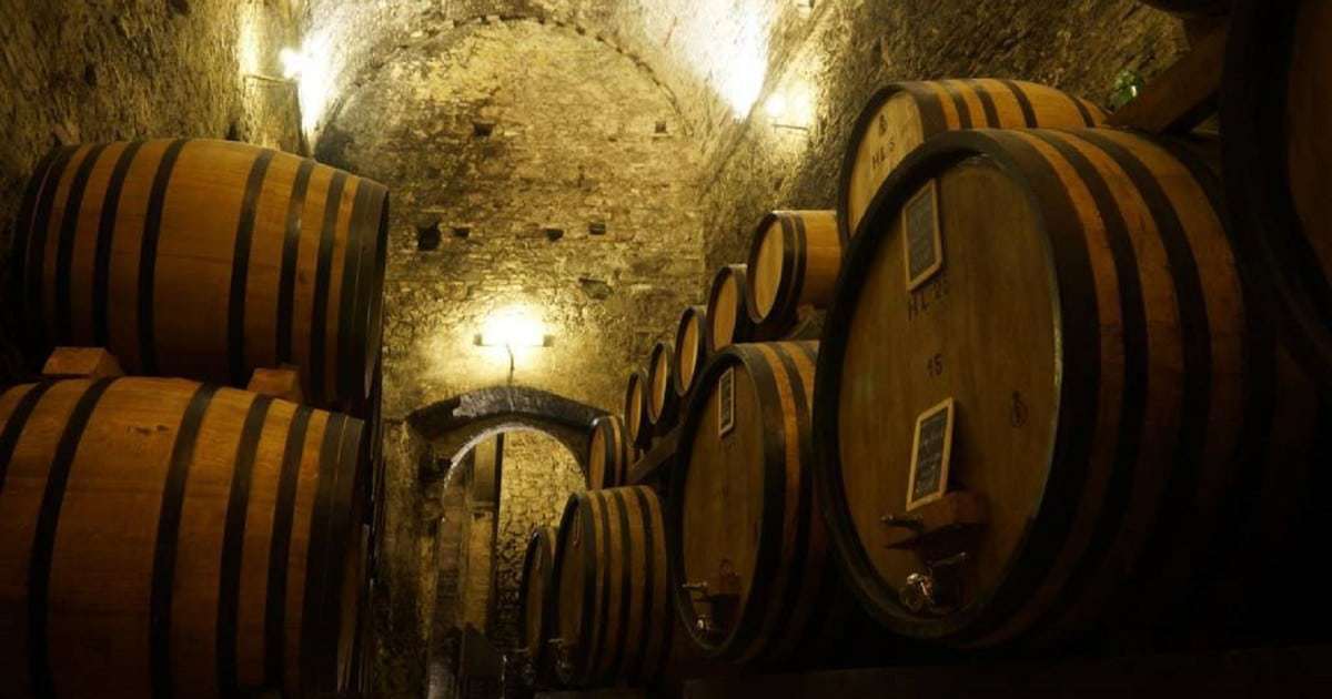15 Best Tuscany Wine Tours - The Crazy Tourist