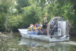 15 Best Louisiana Swamp Tours - The Crazy Tourist