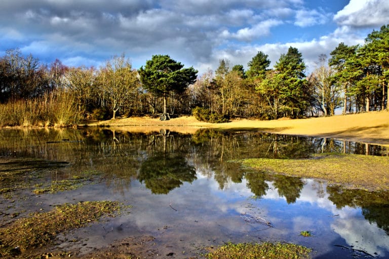 15 Best Things to Do in Woking (Surrey, England) - The Crazy Tourist