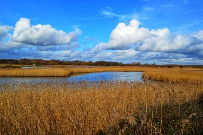 15 Best Things to Do in Fareham (Hampshire, England) - The Crazy Tourist