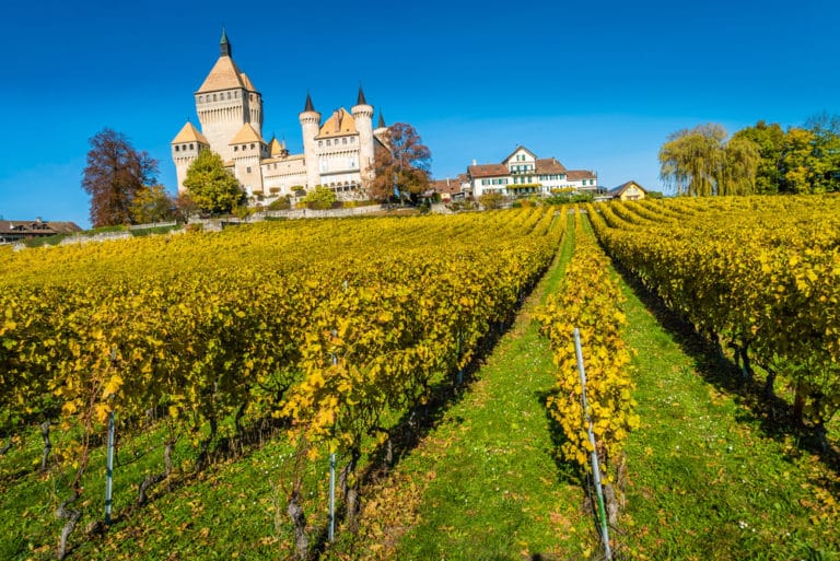15 Best Castles in Switzerland - The Crazy Tourist