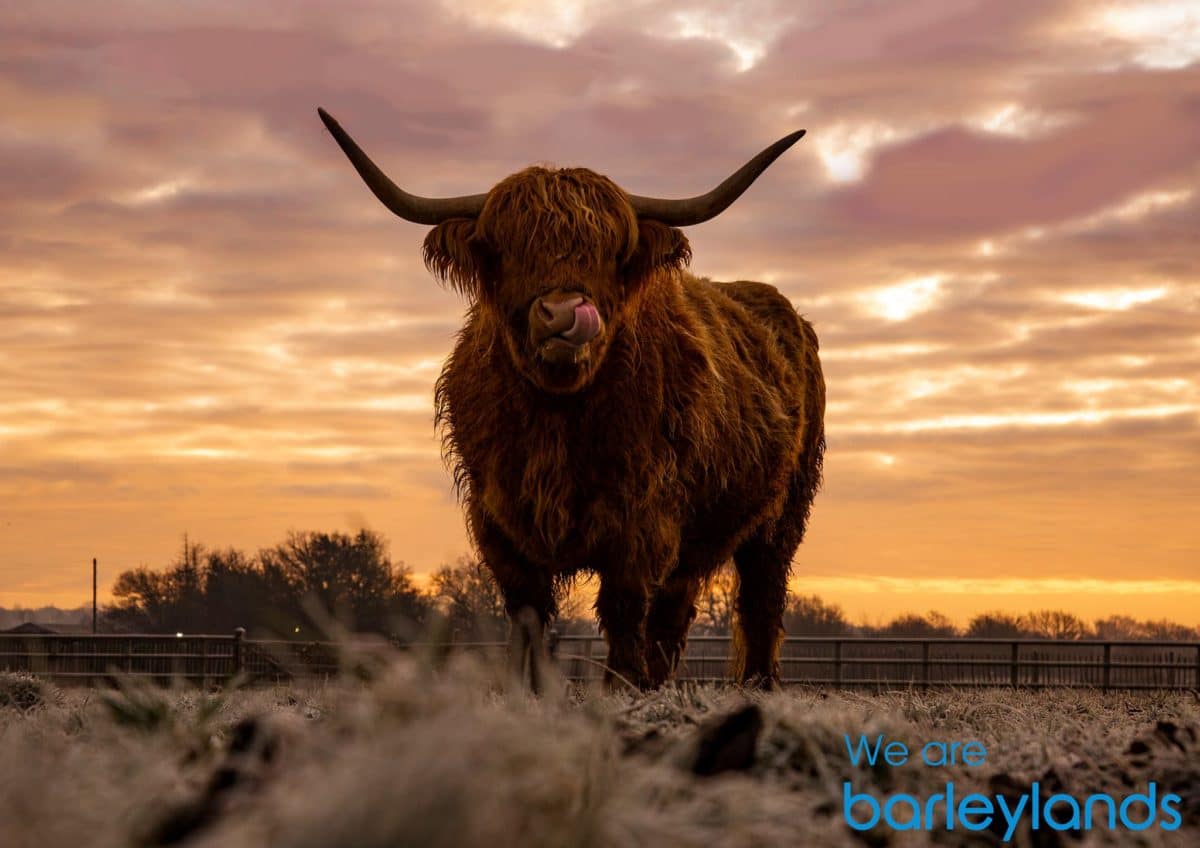 15 Best Things to Do in Basildon (Essex, England) - The Crazy Tourist