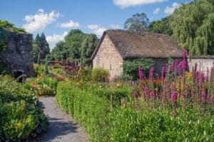 15 Best Things to Do in Tavistock (Devon, England) - The Crazy Tourist