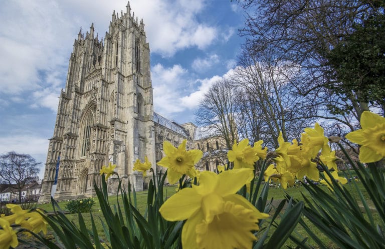 15 Best Things to Do in Beverley (Yorkshire, England) - The Crazy Tourist