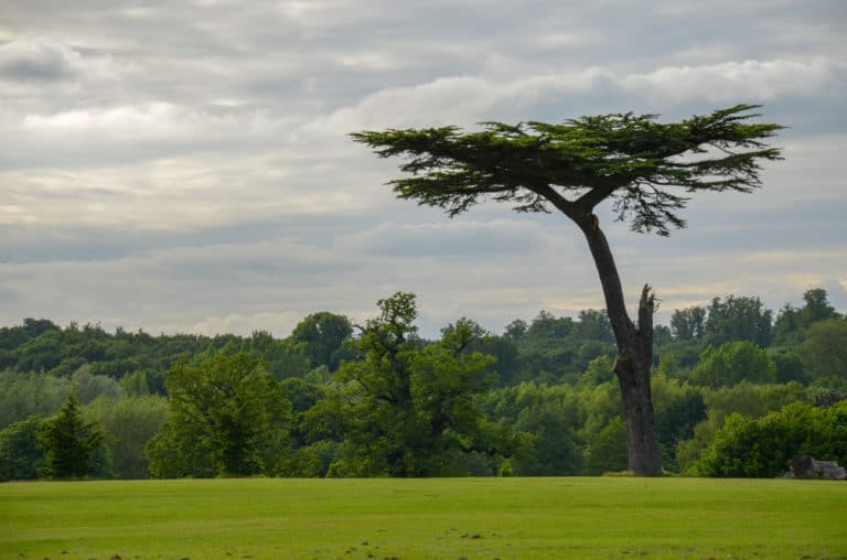 15 Best Things to Do in Watford (Hertfordshire, England) - The Crazy ...