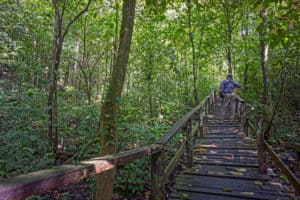 25 best things to do in Sabah (Malaysia) - The Crazy Tourist