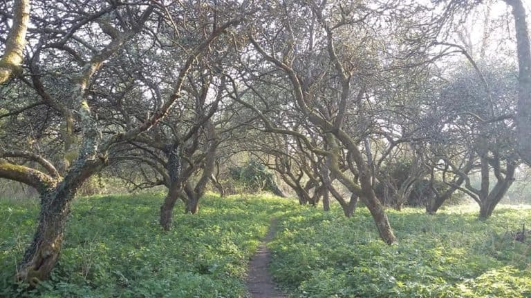 15 Best Things to Do in Devizes (Wiltshire, England) - The Crazy Tourist