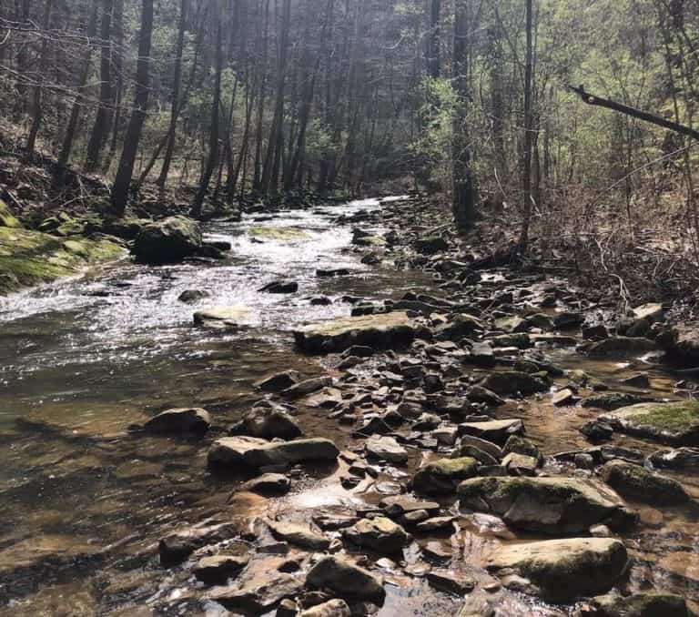 15 Best Things to Do in Cullman (AL) - The Crazy Tourist