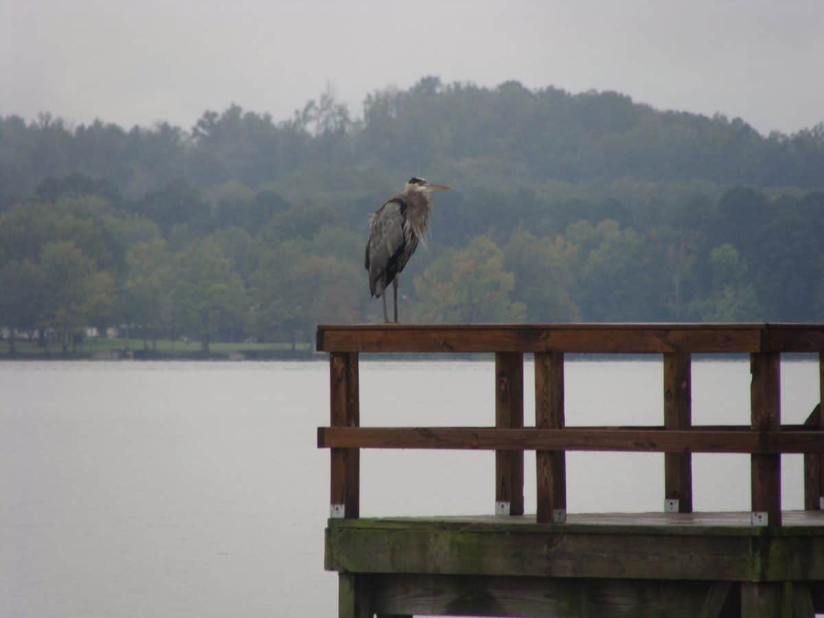 15 Best Things to Do in Scottsboro (AL) - The Crazy Tourist