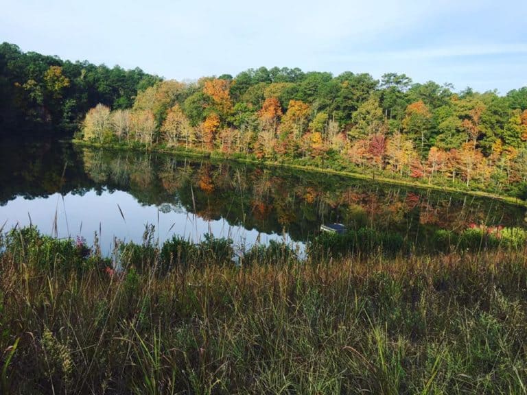 15 Best Things to Do in Sylacauga (AL) - The Crazy Tourist