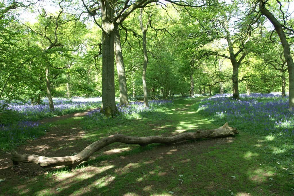 15 Best Things to Do in Daventry (Northamptonshire, England) - The ...