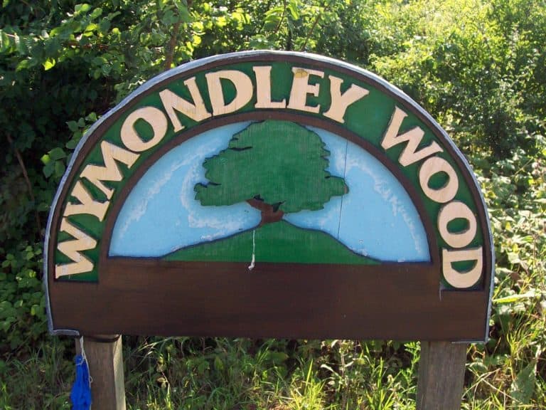 15 Best Things to Do in Letchworth (Hertfordshire, England) - The Crazy ...