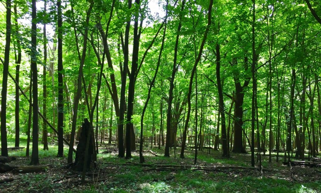 30 Amazing Hidden Gems in Iowa - The Crazy Tourist