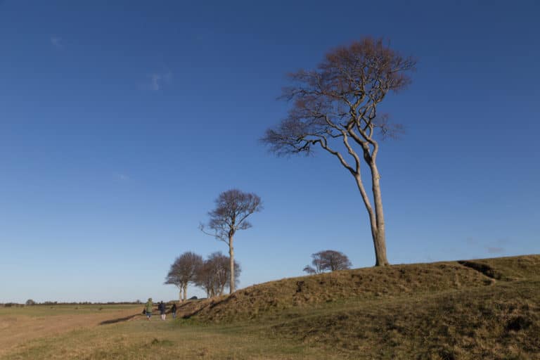 15 Best Things to Do in Devizes (Wiltshire, England) - The Crazy Tourist