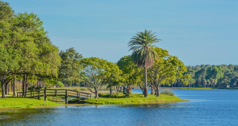 15 Best Things to Do in Largo (Florida) - The Crazy Tourist