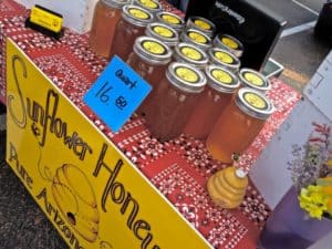 13 Best Things to Do in Payson (AZ) - The Crazy Tourist