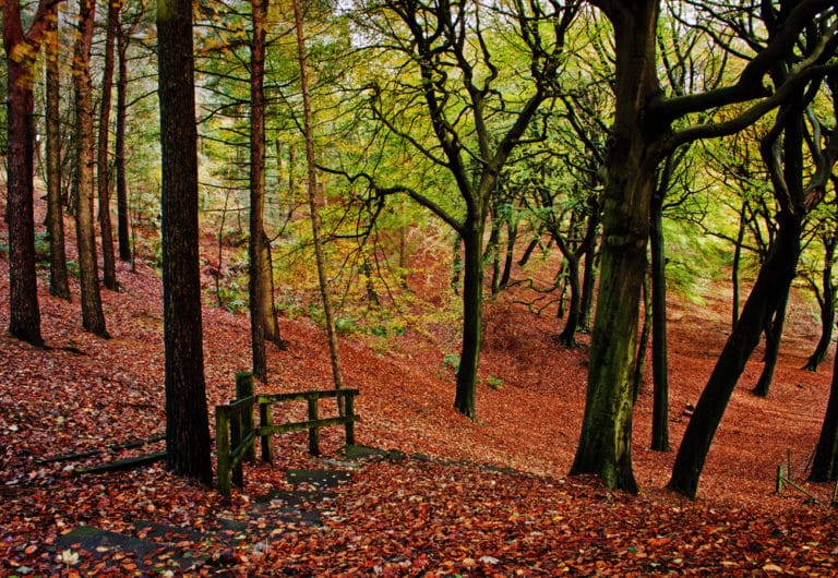 15 Best Things to Do in Rochdale (Greater Manchester, England) - The ...