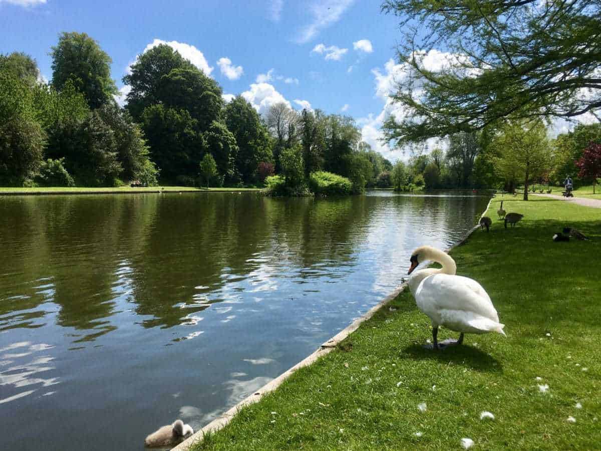 15 Best Things to Do in Warminster (Wiltshire, England) - The Crazy Tourist