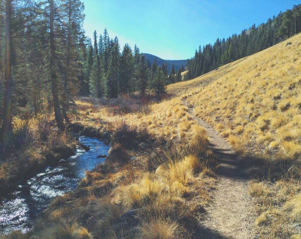 15 Best Things to Do in Eagar (AZ) - The Crazy Tourist