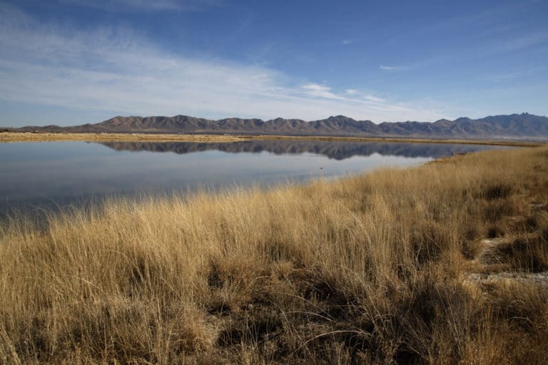 14 Best Things to Do in Thatcher (AZ) - The Crazy Tourist