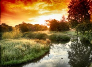 15 Best Things to Do in Sutton (London Boroughs, England) - The Crazy ...