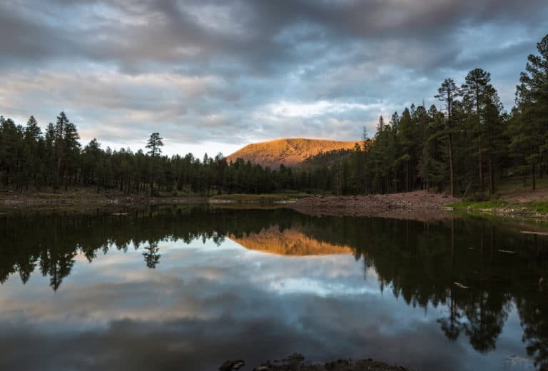 14 Best Things to Do in Springerville (AZ) - The Crazy Tourist