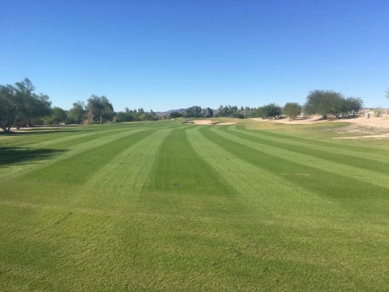 18 Best Things to Do in Wellton (AZ) - The Crazy Tourist