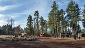 15 Best Things to Do in Pinetop-Lakeside (AZ) - The Crazy Tourist