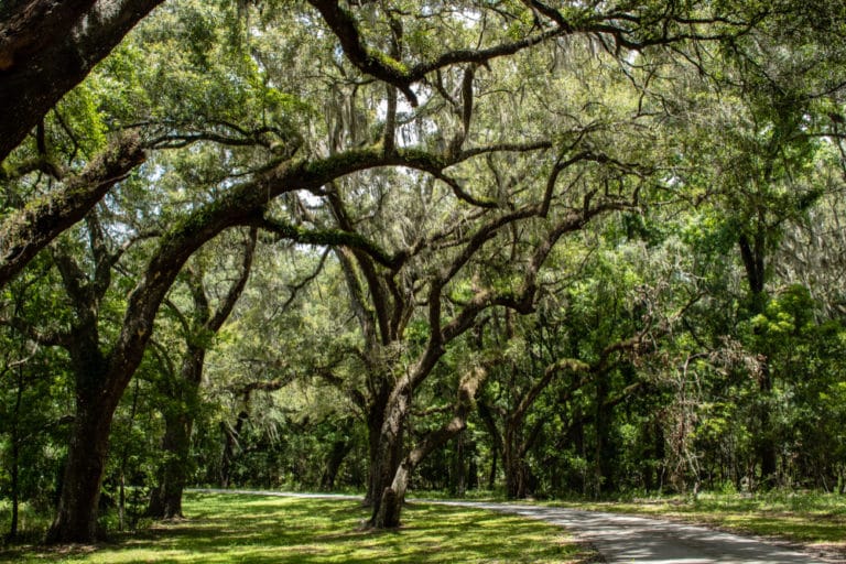 15 Best Things to Do in Inverness (FL) - The Crazy Tourist