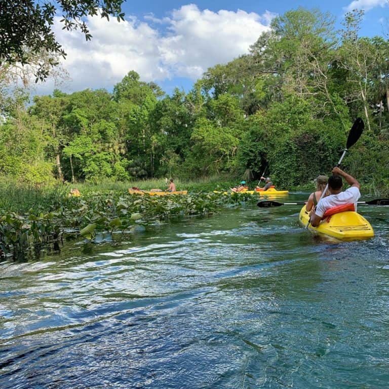 15 Best Things to Do in Mount Dora (FL) - The Crazy Tourist