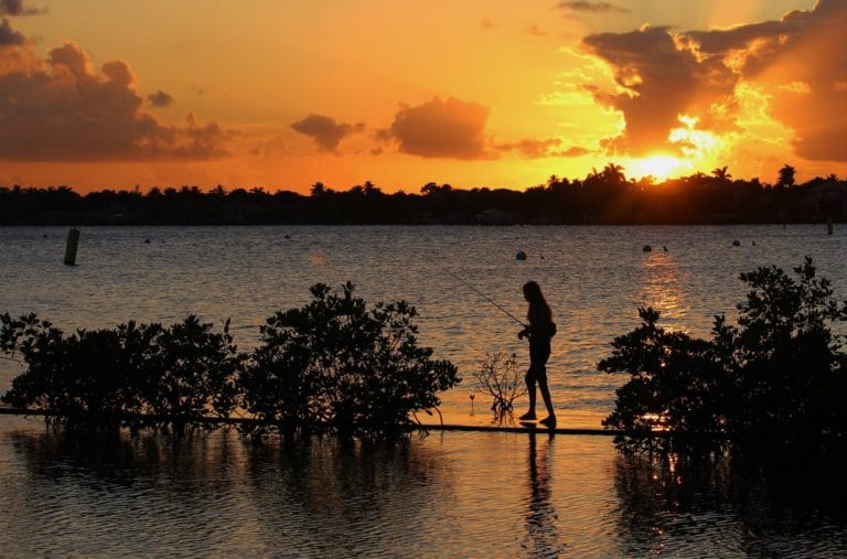 15 Best Things to Do in Stuart (FL) - The Crazy Tourist