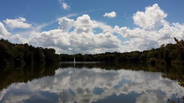 15 Best Things to Do in Ormond Beach (FL) - The Crazy Tourist