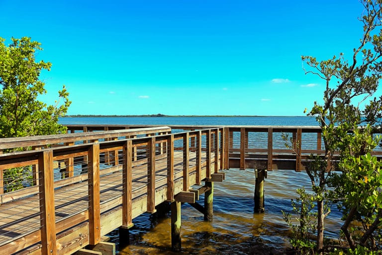 15 Best Things to Do in Safety Harbor (FL) - The Crazy Tourist