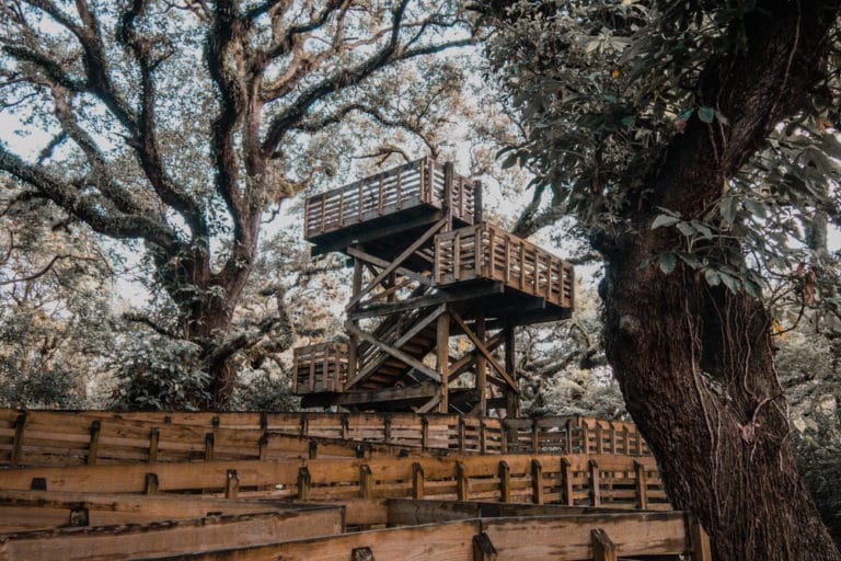 14 Best Things to do in Southwest Ranches (FL) - The Crazy Tourist