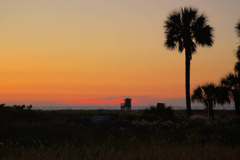 15 Best Things to Do in Seminole (FL) - The Crazy Tourist