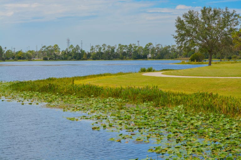 15 Best Things to Do in Seminole (FL) - The Crazy Tourist