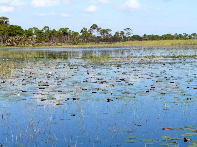 15 Best Things to Do in Stuart (FL) - The Crazy Tourist