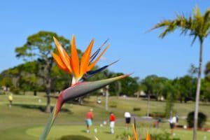 15 Best Things to Do in Rockledge (FL) - The Crazy Tourist