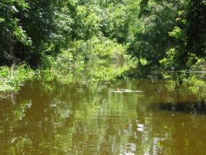 15 Best Things to Do in Leesburg (FL) - The Crazy Tourist