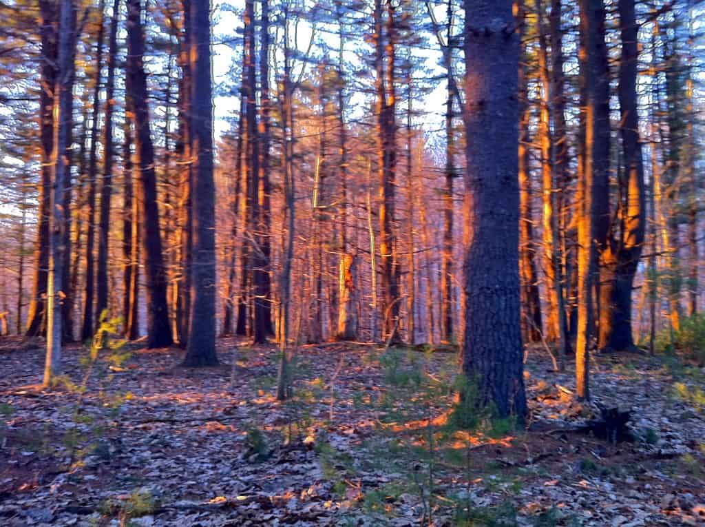 15 Best Things to Do in Mansfield (CT) - The Crazy Tourist